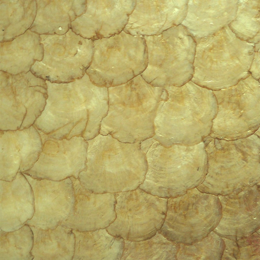 Decorative Material